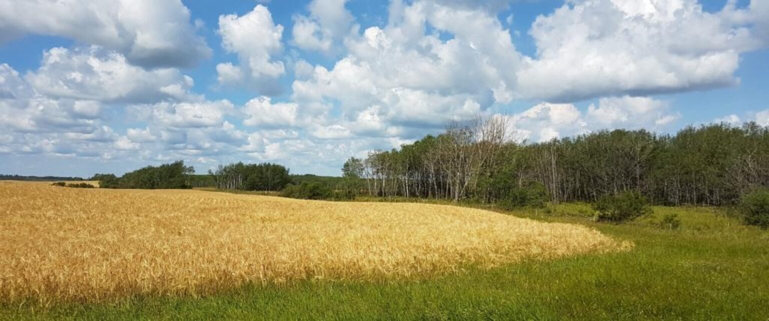 Home Page - Everything Country CA