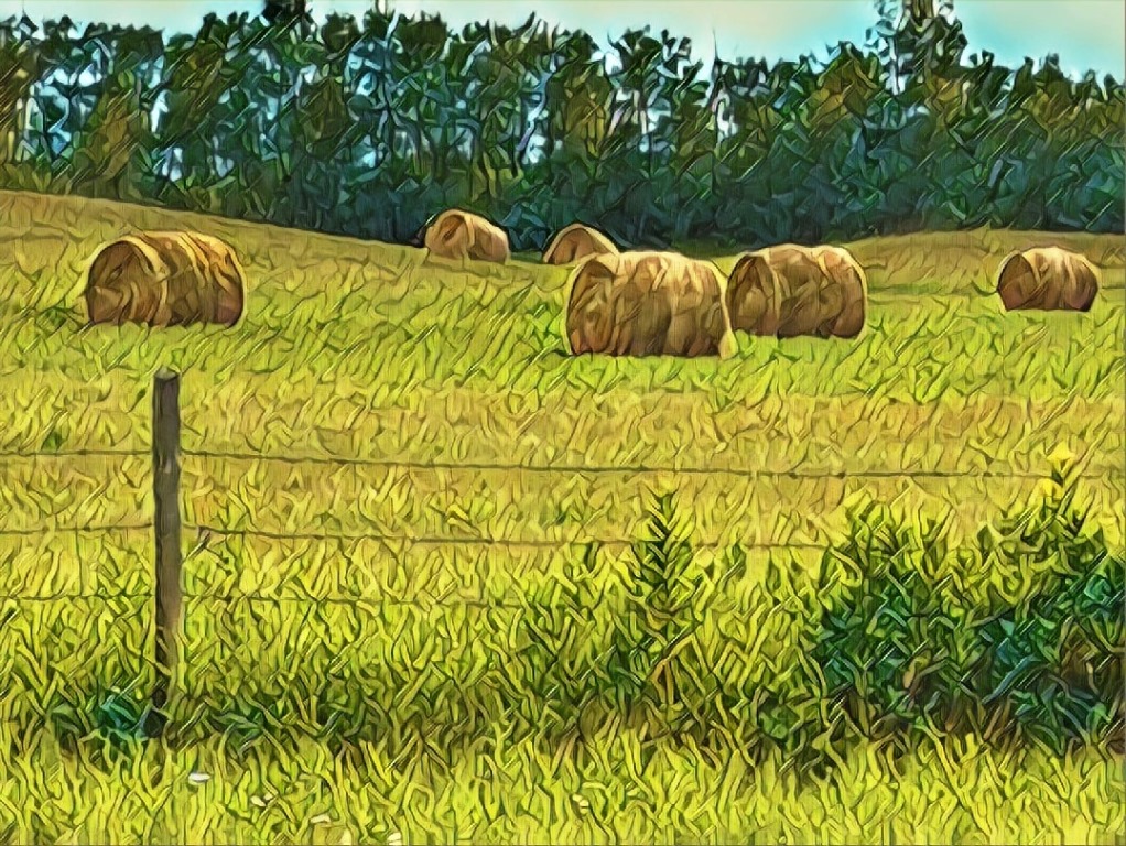 Everything Country CA - a little country magic