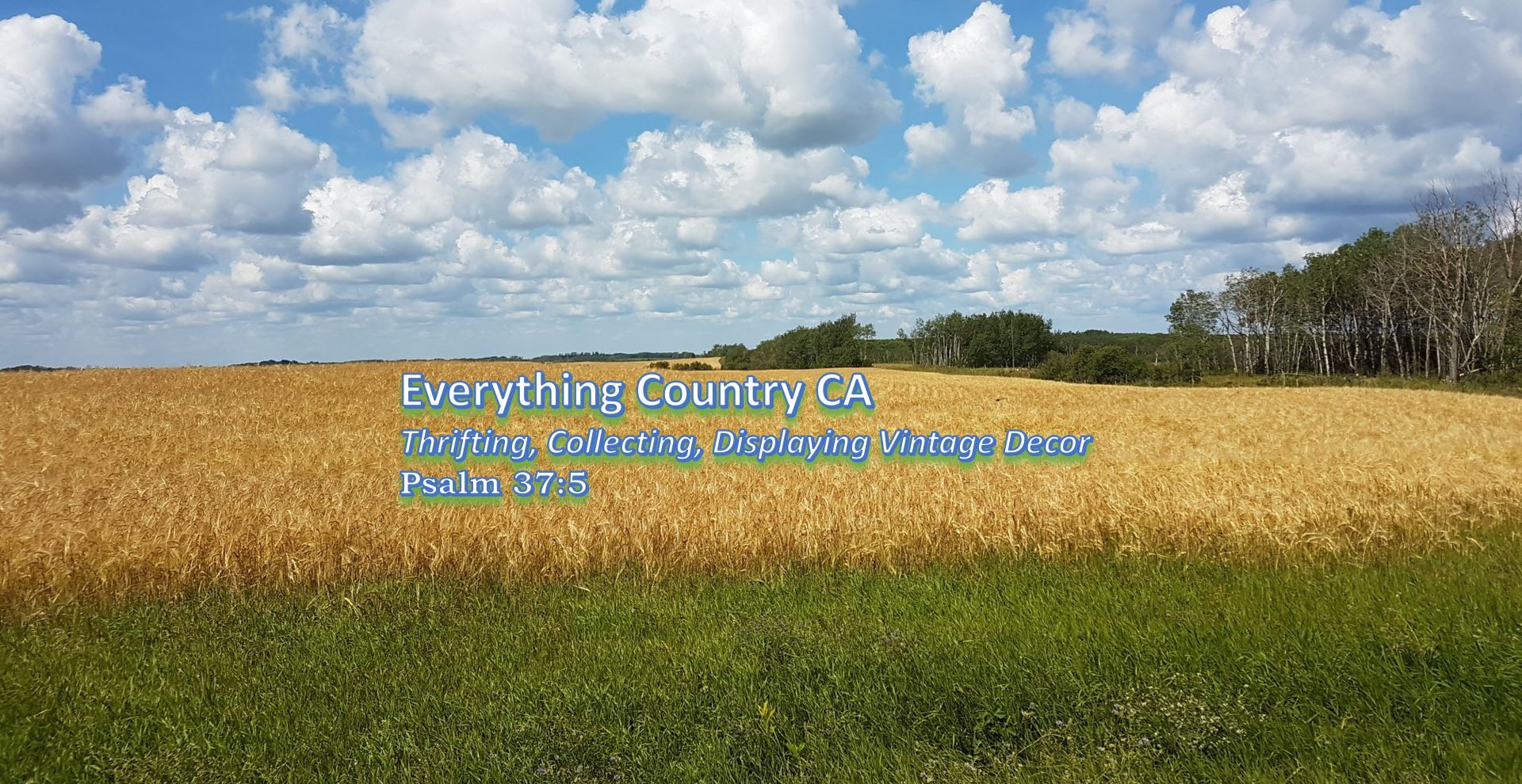 How to Grow a Youtube Channel - Everything Country CA